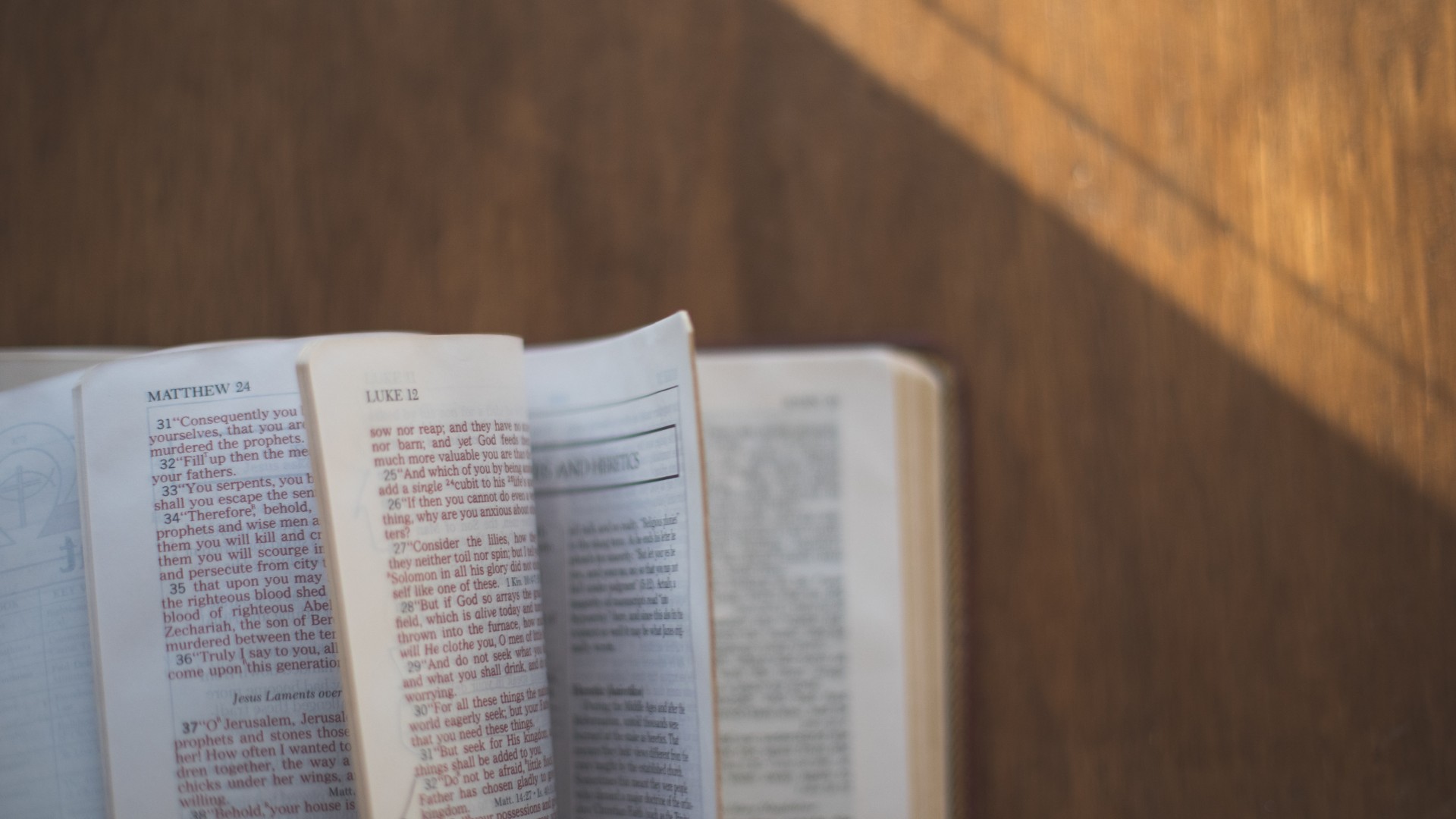 Never Read a Bible Verse